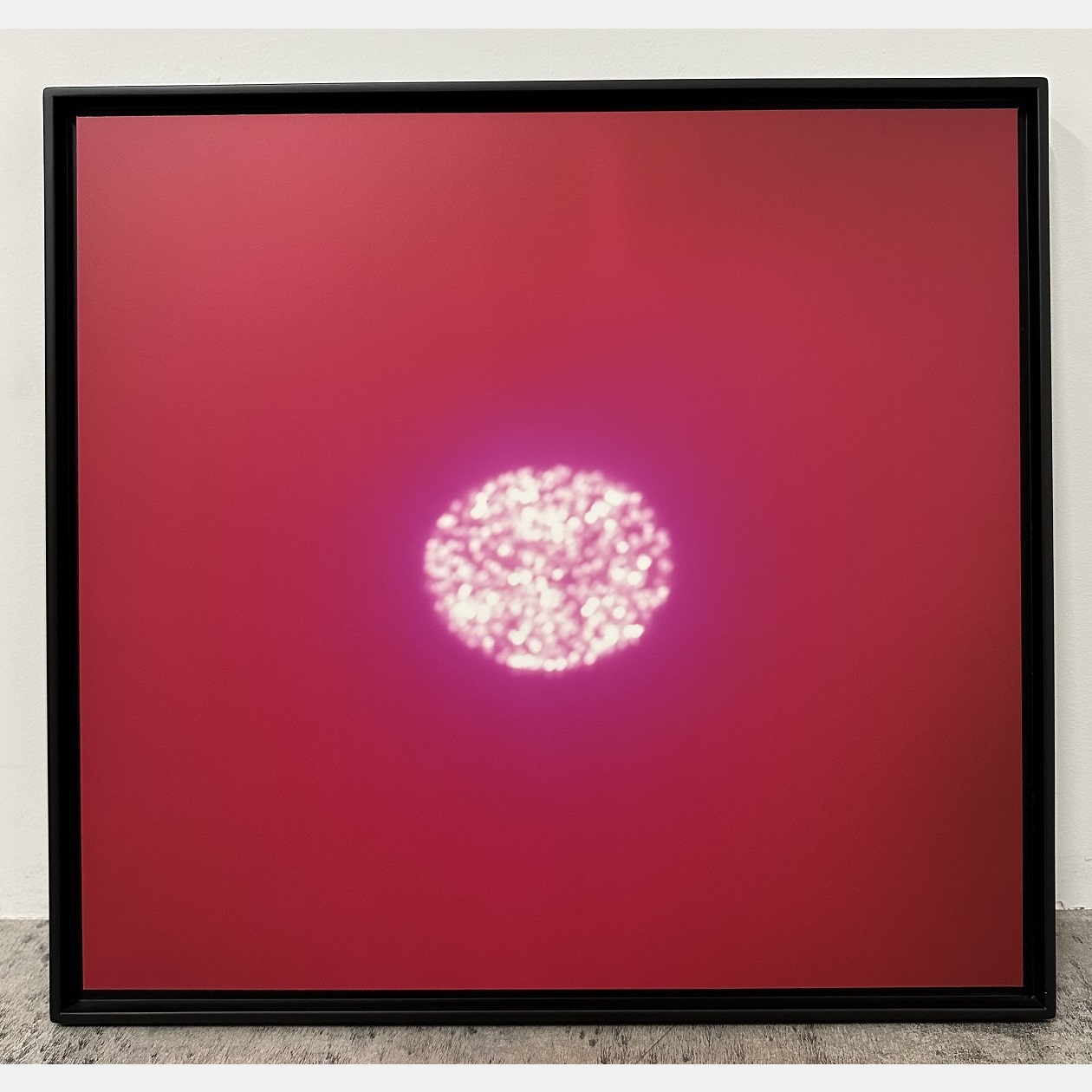 Christopher Bucklow | CURIO